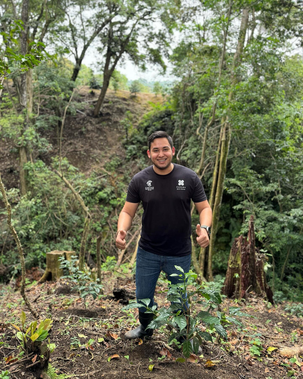 Chevas Coffee Estate - Washed DRD Gesha 9501H - Panama – Moonwake ...