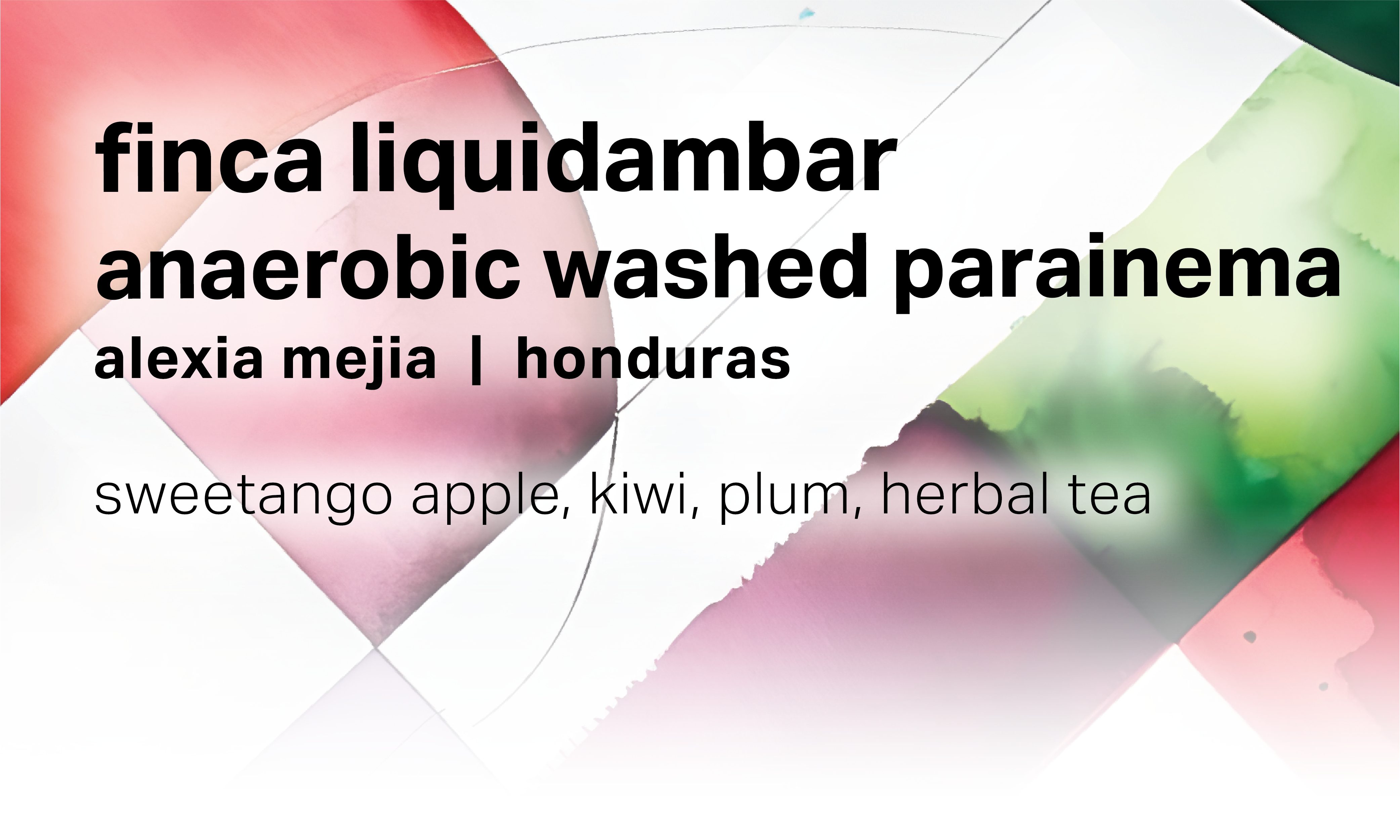 Alexia Mejia Finca Liquidambar - Anaerobic Washed Parainema - Honduras ...