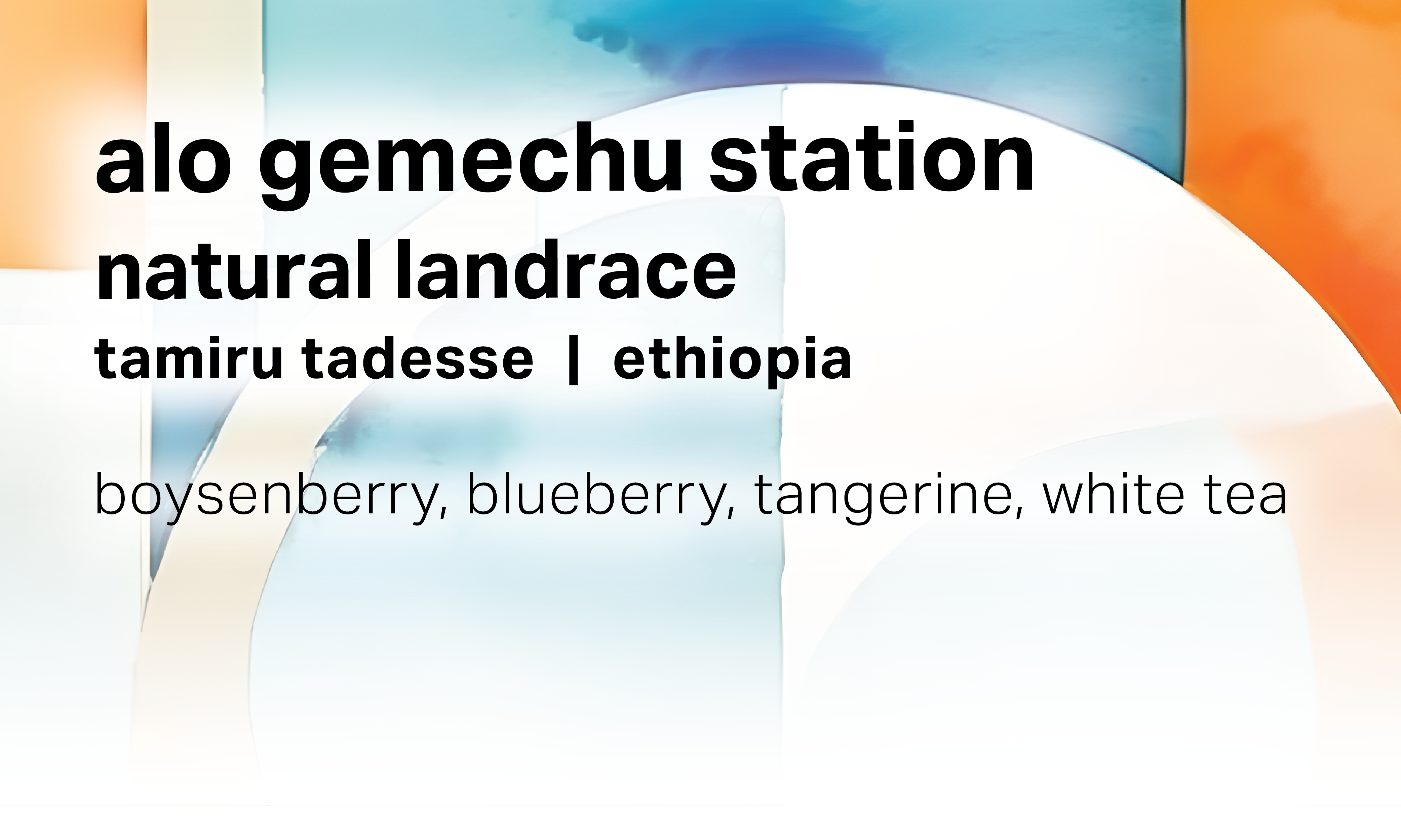 Alo Gemechu Station - Natural Landrace - Ethiopia – Moonwake Coffee ...