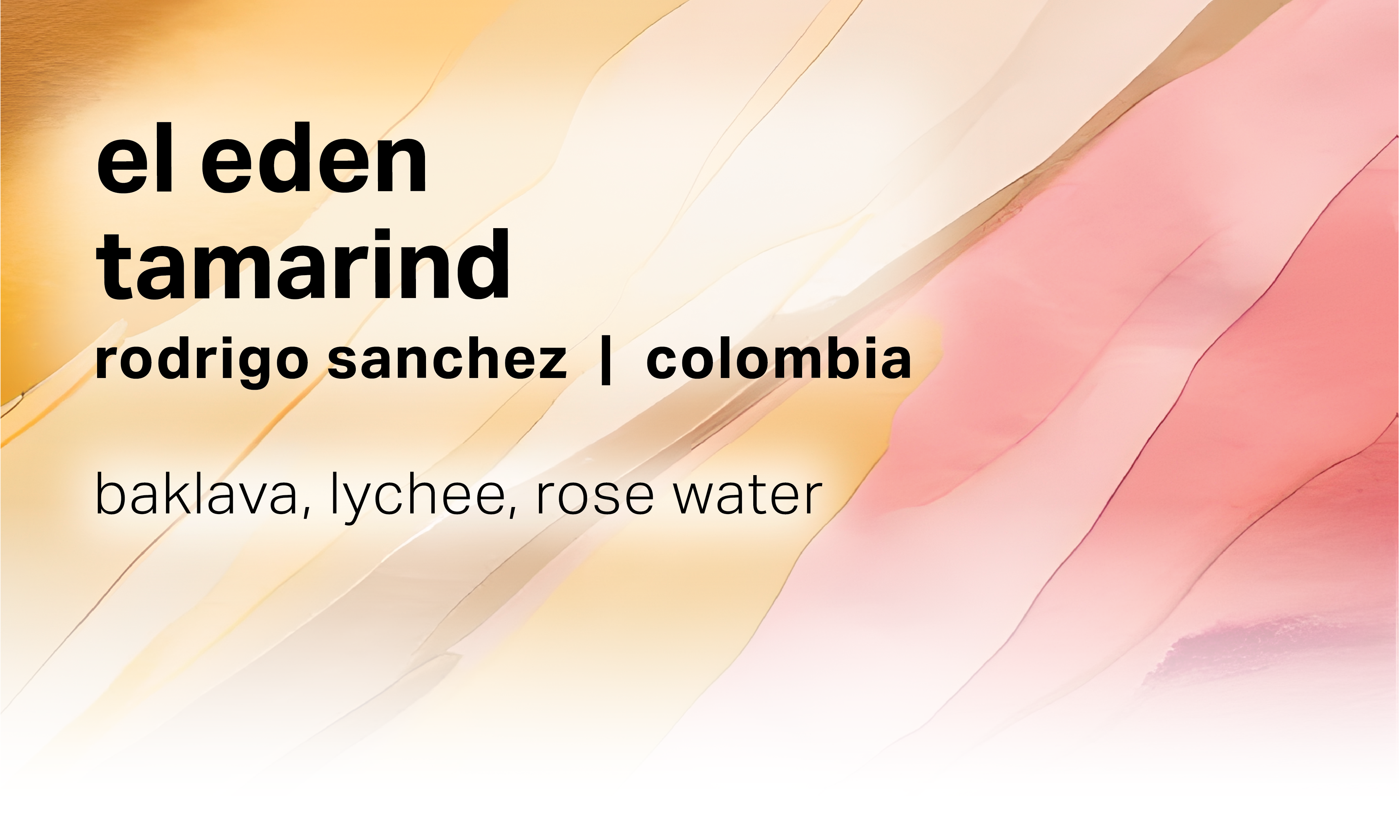Rodrigo Sanchez El Eden - Tamarind Washed Purple Caturra Bourbon - Col – Moonwake Coffee Roasters