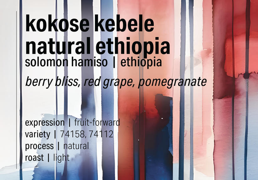 Kokose Kebele - Natural Ethiopia - Ethiopia – Moonwake Coffee Roasters