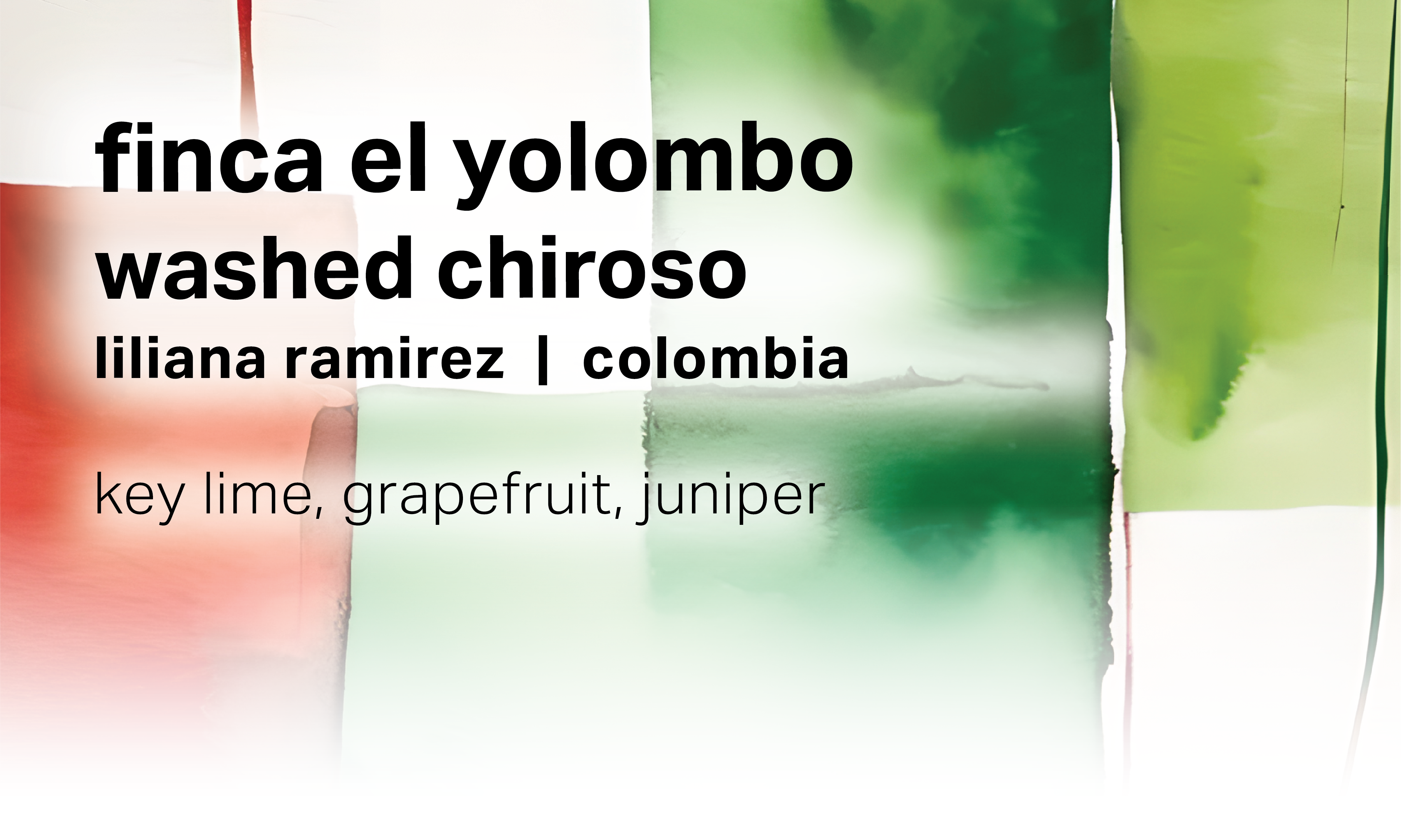 Liliana Ramirez Finca El Yolombo - Washed Chiroso - Colombia – Moonwake ...